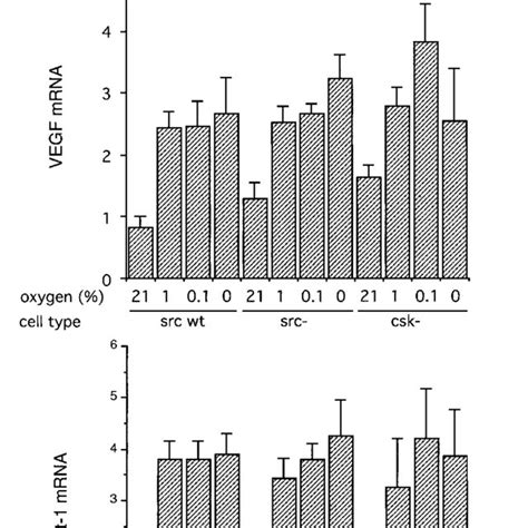 A Src Kinase Activity In Fibroblasts Derived From Mice Defi