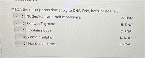 Solved Match The Descriptions That Apply To DNA RNA Both Chegg