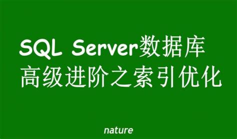 Aspnet Core Web Api 项目分层架构搭建与实战演练51cto学堂专业的it技能学习平台