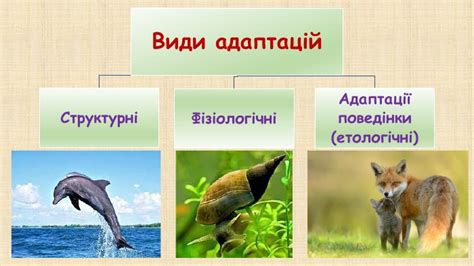 Презентація Адаптація як загальна властивість біологічних систем