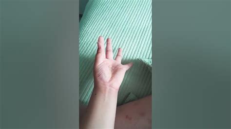 거꾸로 하면 왼손 Youtube