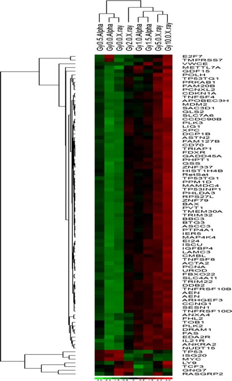 Median Based Hierarchical Clustering Dataset To Determine Common