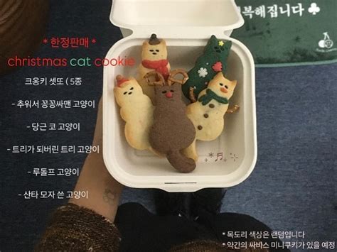 신촌레터링케이크 당일케이크 새해케이크 킥캣 Christmas Cat Cookie 🥡🍪🥛💡 👥👤👥👤 이 귀여운 거 뭐야 웅성웅성 크리스마스 야옹키가