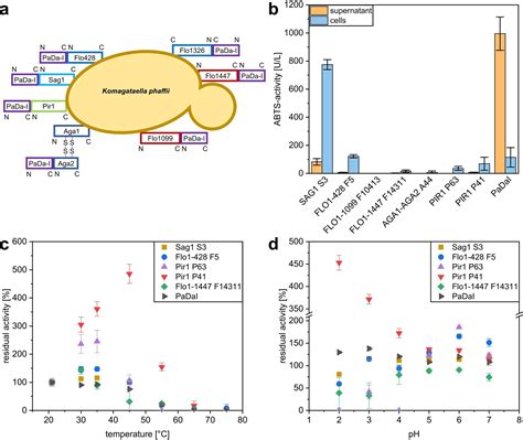 Yeast Surface Display Enables One‐step Production And Immobilization Of Unspecific Peroxygenases