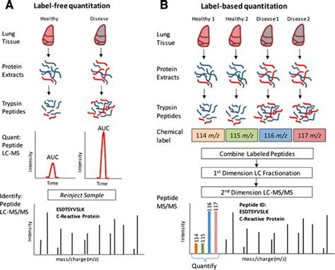 Label Free Vs Label Based Quantitative Proteomics Silantes
