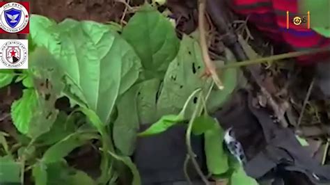 ရွာငံမြို့နယ်အတွင်း စစ်ကြောင်းထိုးဖို့ ထွက်လာတဲ့ အကြမ်းဖက်စစ်သားတွေ Youtube