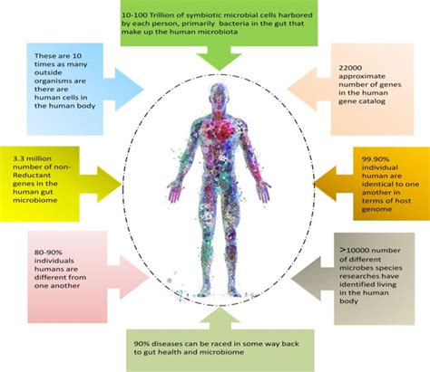Human Microbiome Bacteria