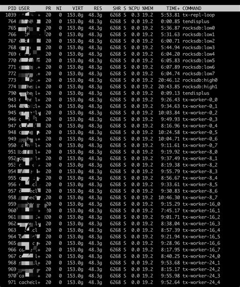Tendis 单实例部署 RSS内存占用过高问题 Issue Tencent Tendis GitHub