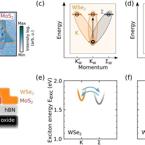 Energy And Momentum Resolved Photoemission Spectra Of Monolayer Wse2