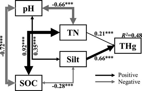 Path Analysis χ 2 157 P 0666 D F 3 Root Mean Square Error