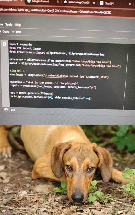 Lakshmisri Kandula On Linkedin Internship Visualquestionanswering