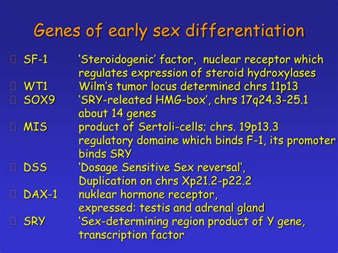 PPT Sex Determination Genes And Factors PowerPoint Presentation Free Download ID