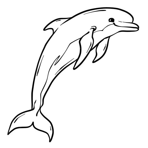 Dolphin Outline