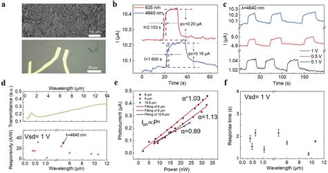 Ultrabroadband High Photoresponsivity At Room Temperature Based On