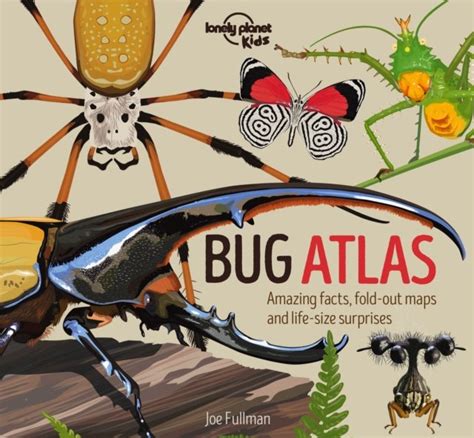 Bug Atlas Opracowanie Zbiorowe Książka W Empik