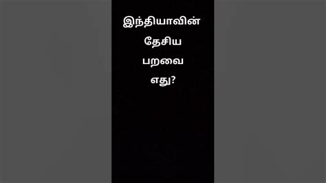 பறவை Youtube