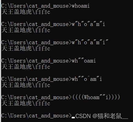 windows命令执行的几种绕过方法 Xuno 博客园 windows命令执行的几种绕过方法 Xuno 博客园