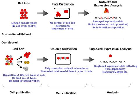 Our Strategy On Chip Single Cell Based Analysis Download Scientific
