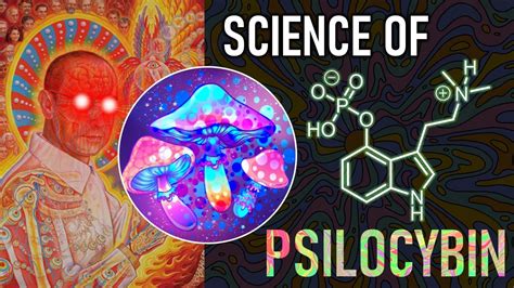 Psilocybin Synthesis In 4 Steps And How Magic Mushrooms Rewire Brain