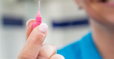 Una Rutina Que Da Frutos Higienice También Entre Los Dientes Infobae