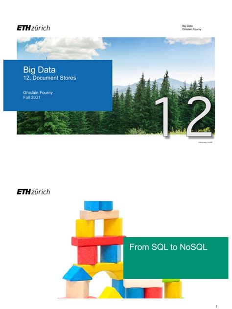 Big Data 12 Document Stores Pdf Relational Model Theory Of Relativity