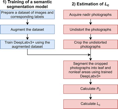 Flowchart Of Lai Lc Estimation From Nadir Photographs Gap Fractions Download Scientific