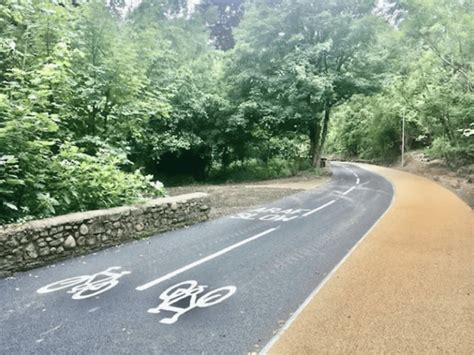 CORE TREE ROOT PROTECTOR Tree Root Protection For Roads Driveways