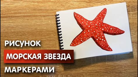 Как нарисовать морскую звезду карандашом и скетч маркерами Рисунок для детей поэтапно и легко