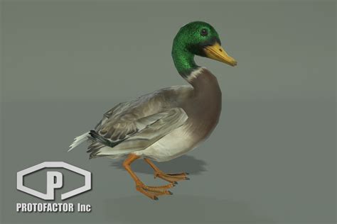 duck characters unity asset store