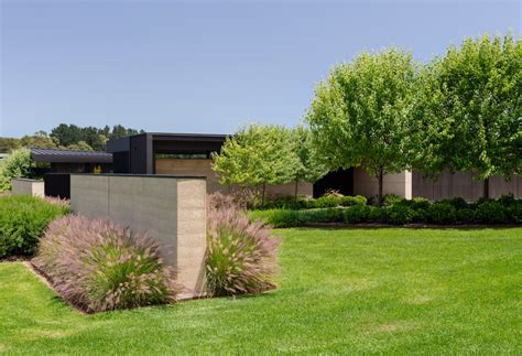 The Top 10 Hedging Trees For A Dense Hedge Evergreen Trees Direct