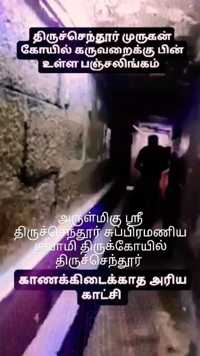 திருச்செந்தூர் முருகன் கோவில் கருவறைக்கு பின் உள்ள பஞ்சலிங்கம் 💗🙏 காணக்கிடைக்காத அரிய காட்சி 🔥🙏