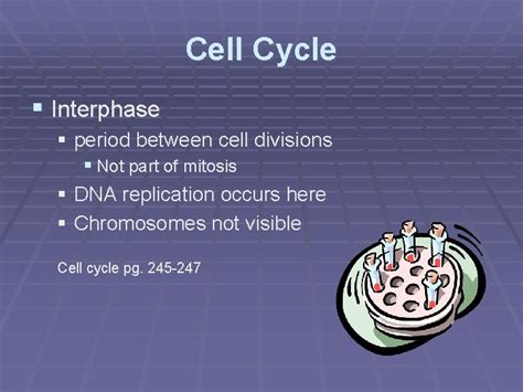 Biology Chapters 5 6 7 8 Mitosis Genetics