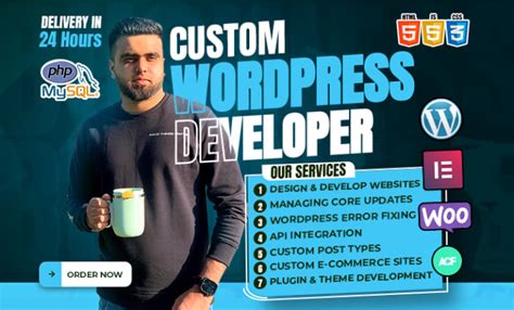 design wordpress website and develop custom theme plugins
