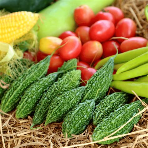 အပူပိုင်းဒေသတွင်စိုက်ပျိုးသော ဟင်းသီးဟင်းရွက်များ High Quality Tropical Vegetable Seeds For