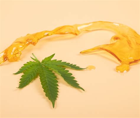 Weed Vs Hash The Similarities And Differences Between Flowers And Extracts Flight2vegas Smoke Weed Vs Hash The Similarities And Differences Between Flowers And Extracts Flight2vegas Smoke