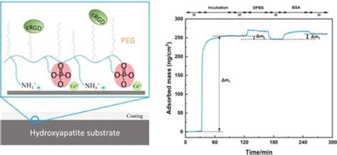 羟基磷灰石表面上的磷酸盐接枝聚乙二醇化共聚物增强吸附稳定性和生物功能耐久性 Langmuir X Mol
