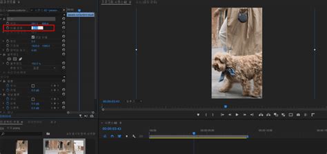 프리미어 프로로 유튜브 쇼츠shorts 916 비율로 편집하는 방법 집순이 리뷰룸