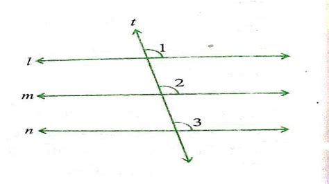Parallel Lines And Transversal Lines Satyam Mathematics