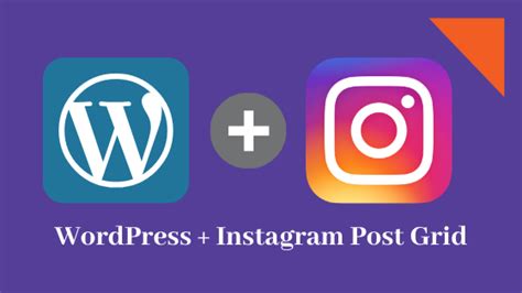 Fetch Instagram Details