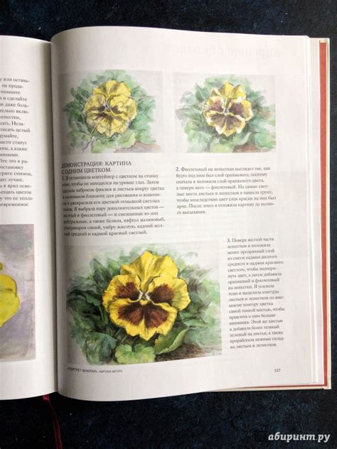 Книга: Живопись с нуля. Пошаговое руководство - Клэр Ватсон-Гарсия ...