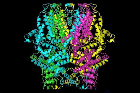 Open Data Key To Solving The Protein Structure Prediction Problem UKRI