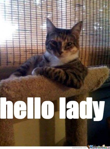 14 Best Funny Hello Meme Photo 2021 Memes The Way He Looks Funny