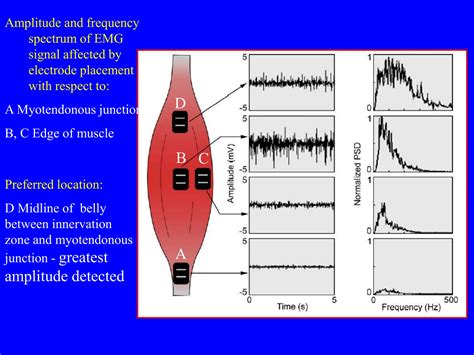 Electromyography And Its Uses About Signals Ppt