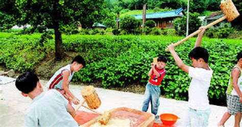 고사리 손들의 환경들살이 떡메치기