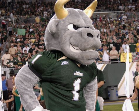 College Football Mascots Logos At Sheila Cline Blog