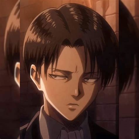 Levi Medium