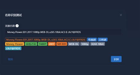 错误报告 搜刮后命名错误 Issue 159 jxxghp MoviePilot GitHub