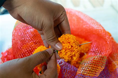 축제 기간 동안 집을 꾸미기 위해 바늘과 실의 도움으로 화환을 만드는 남자의 손의 그림 계절에 대한 스톡 사진 및 기타 이미지 계절 공예 공휴일 Istock