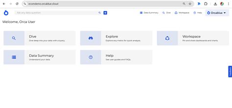 Query Data Orcablue Documentation