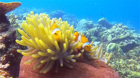 10 Vlog 혼자하는 발리여행 Day4 Youtube